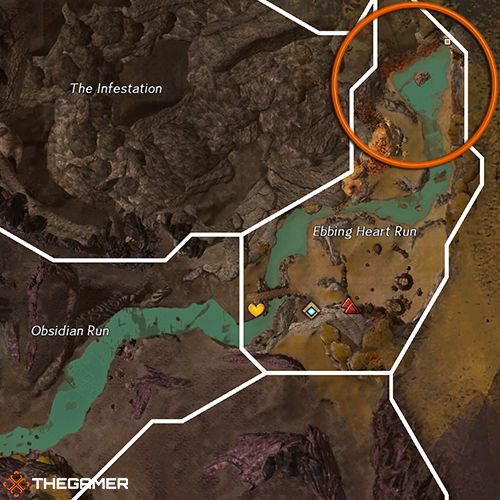 Every Ranger Pet Location In Guild Wars 2