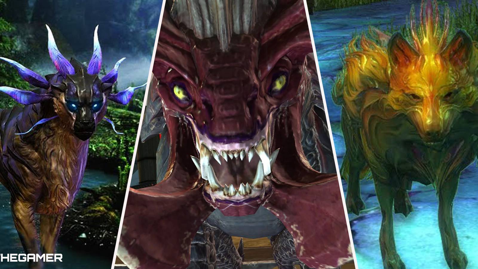 Every Ranger Pet Location In Guild Wars 2