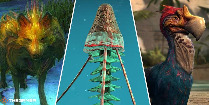 Every Ranger Pet Location In Guild Wars 2