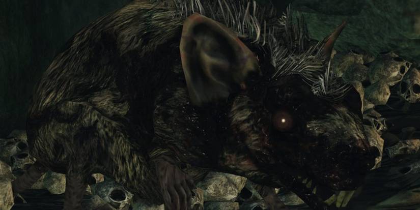 How To Join The Rat King Covenant In Dark Souls 2