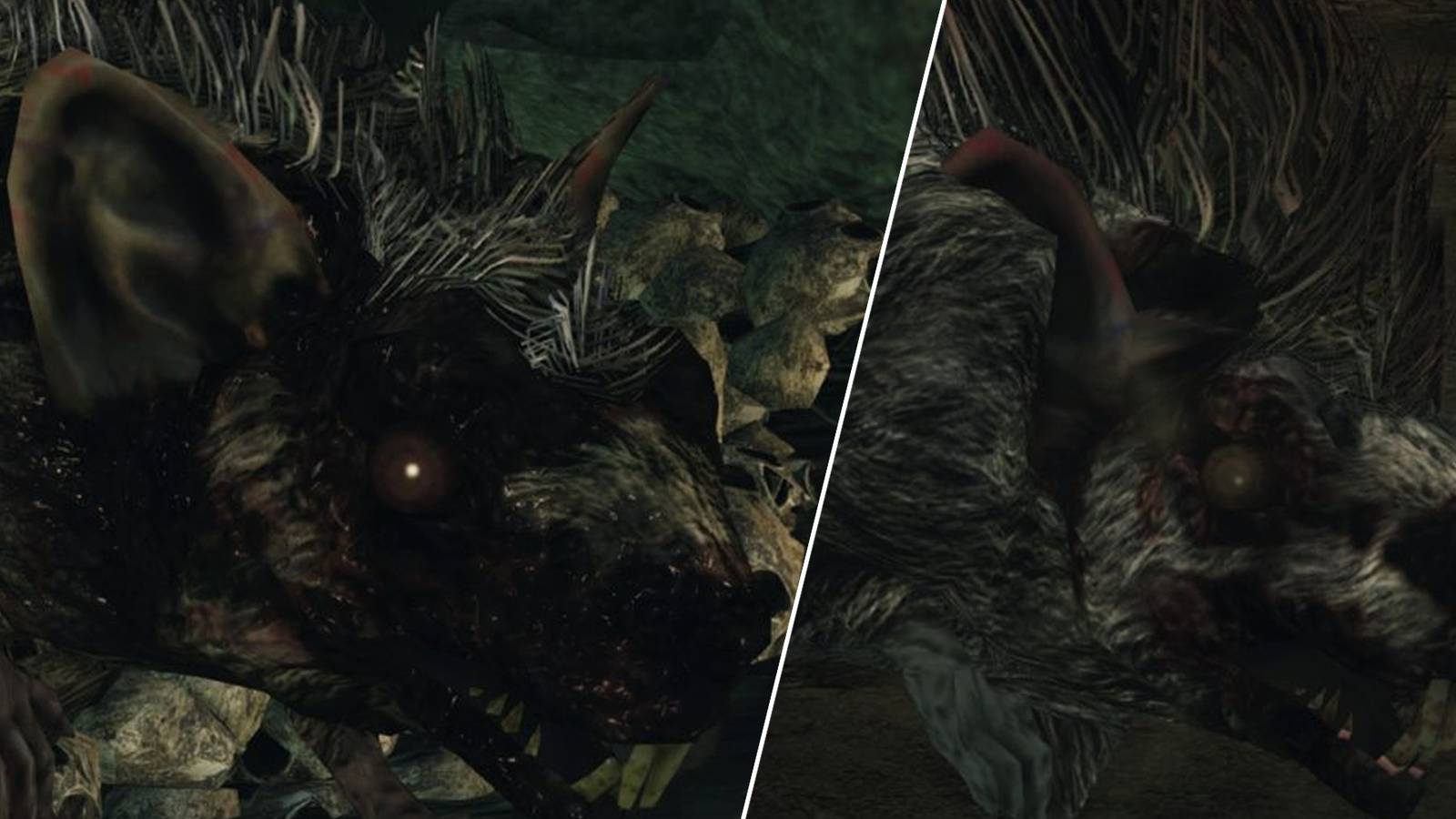 How To Join The Rat King Covenant In Dark Souls 2
