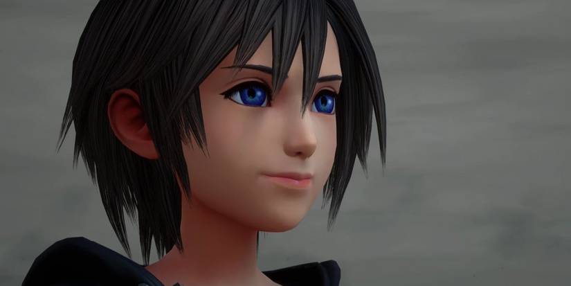 The Origins Of Organization XIII In Kingdom Hearts, Explained