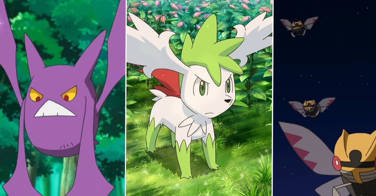 can swellow learn fly