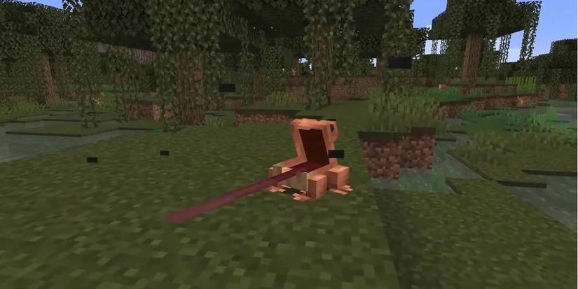 Minecraft: Everything Added In 1.19 - The Wild Update