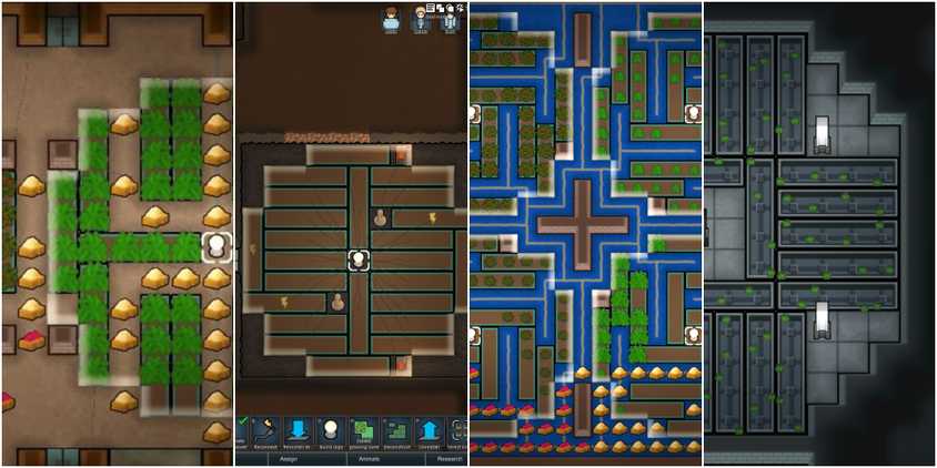 The Best Crops to Plant in Your Colony In RimWorld