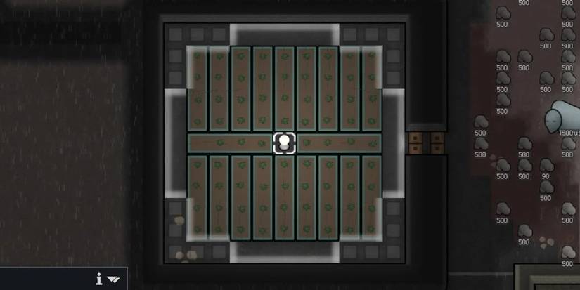 How To Build A Good Hydroponics Layout In Rimworld