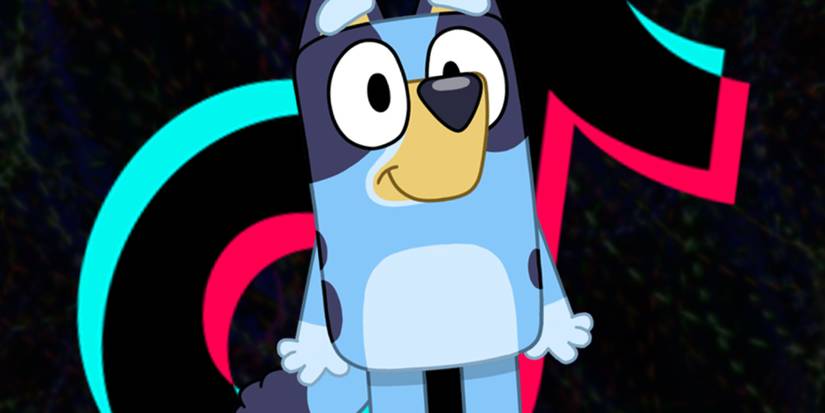 The Best Characters In Bluey