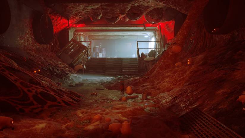 Beginner's Guide To Stray