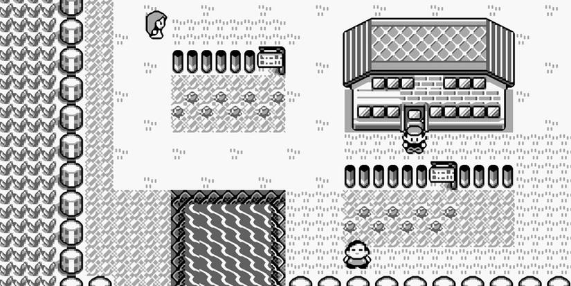 The File Size Of Every Core Pokemon Game