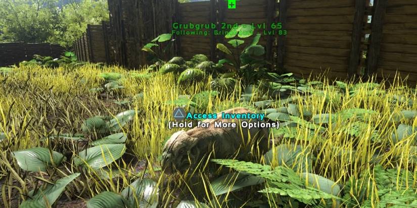 Tips And Tricks For Beginners In Ark: Survival Evolved