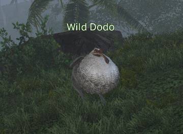 How To Unlock The Island Sanctuary In FFXIV