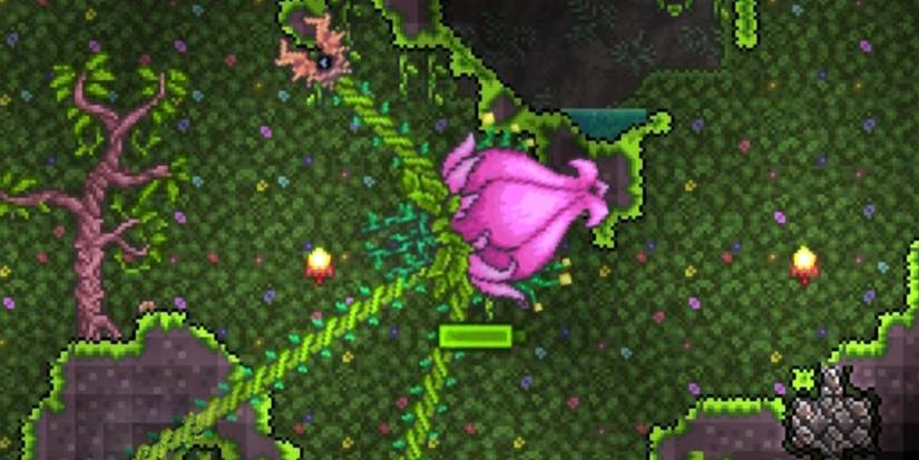 How To Get The Morning Star Whip In Terraria