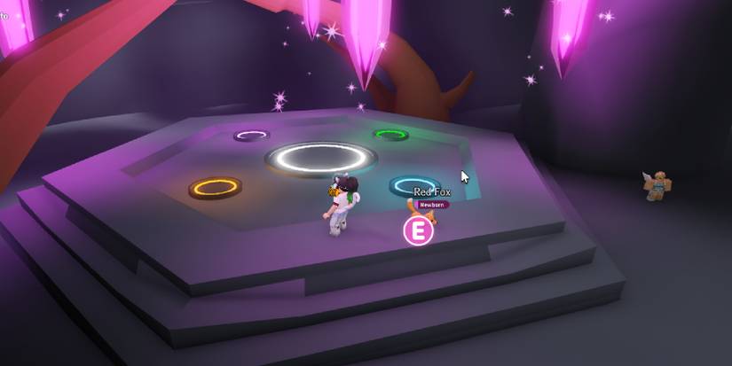 How To Get The Maneki-Neko In Adopt Me!