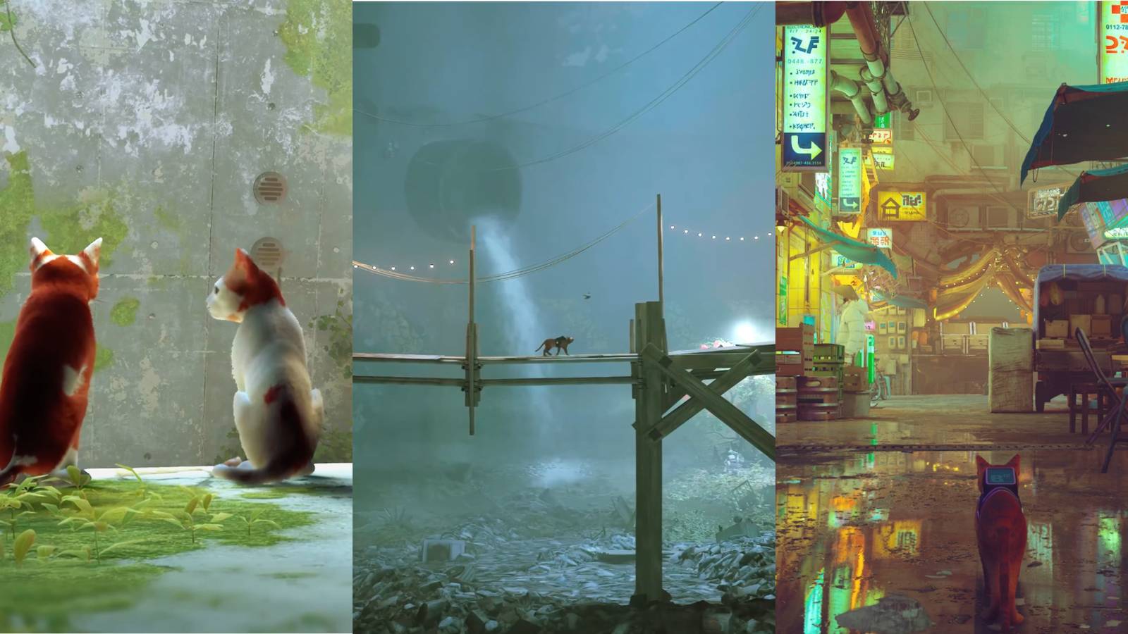 Stray: Best Locations Ranked