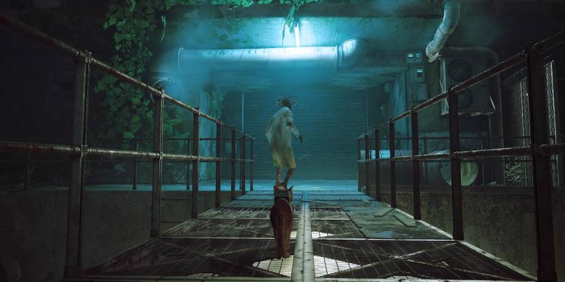 Stray: Best Locations Ranked