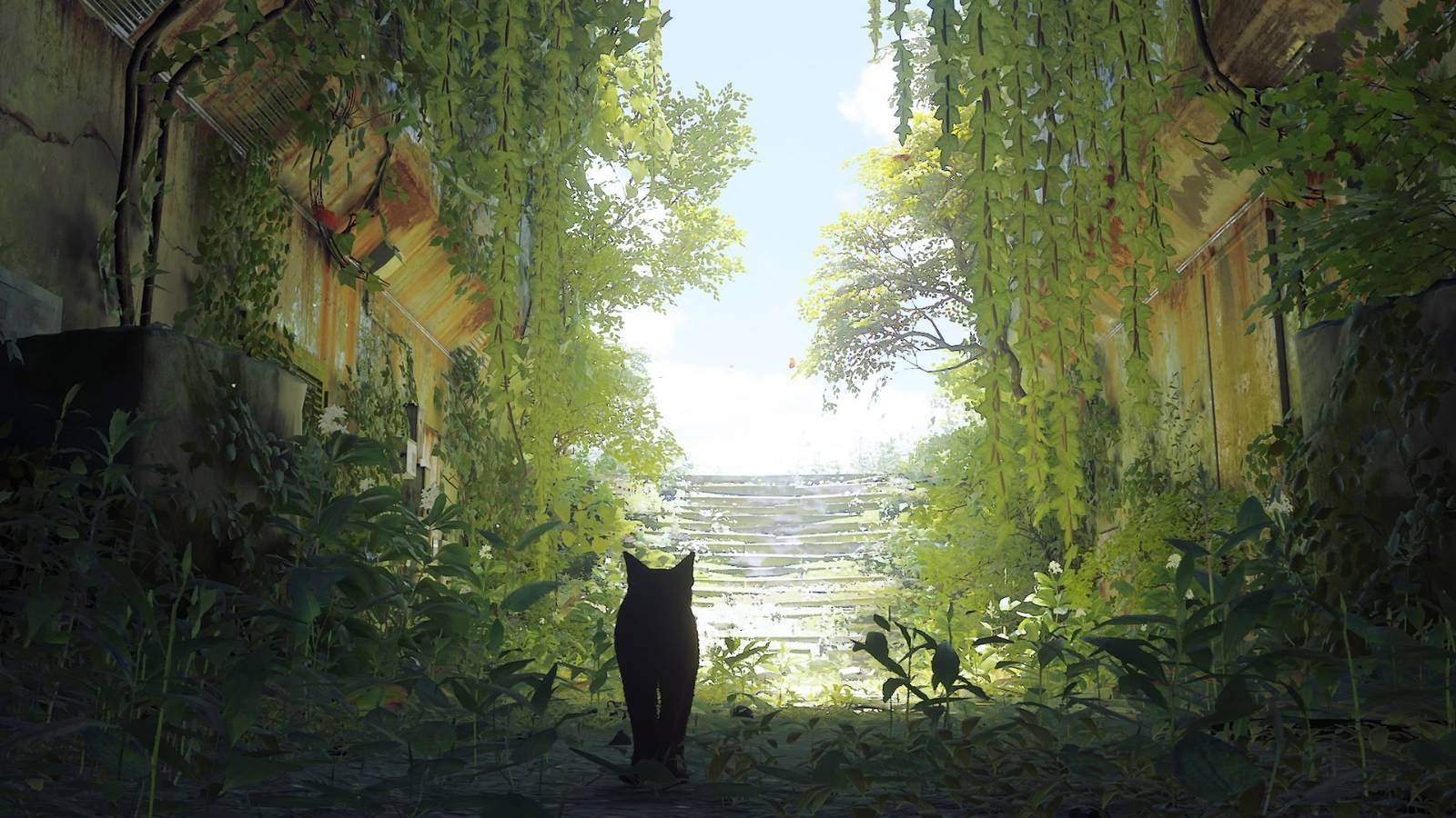 Stray Is Helping To Raise Money For Real-Life Stray Cats