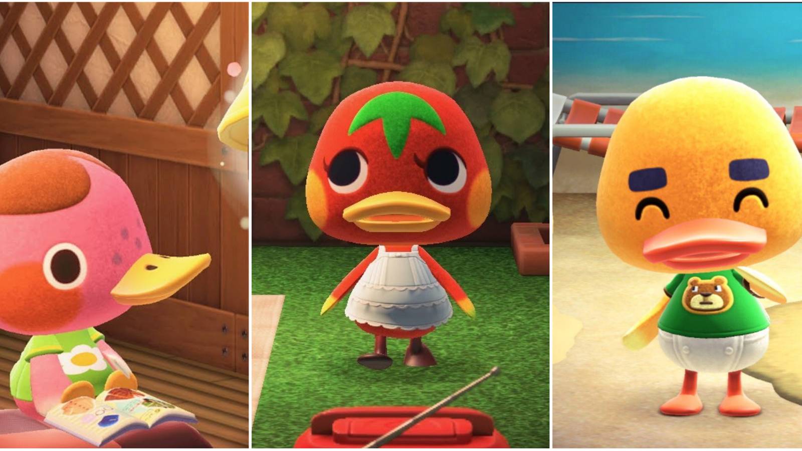 10 Best Duck Villagers In Animal Crossing: New Horizons