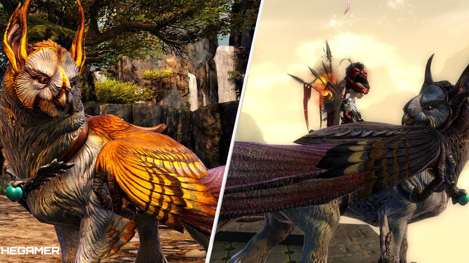 How To Complete All The Griffon Collections In Guild Wars 2