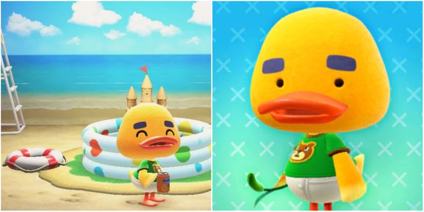 10 Best Duck Villagers In Animal Crossing: New Horizons
