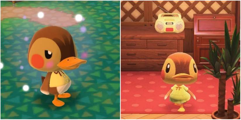 10 Best Duck Villagers In Animal Crossing: New Horizons