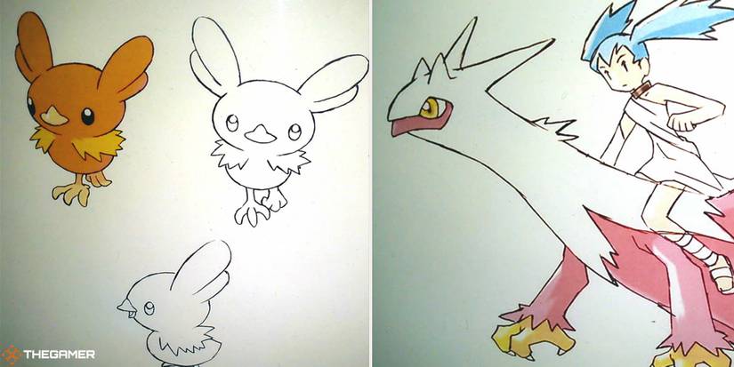 pokemon torchic gender difference