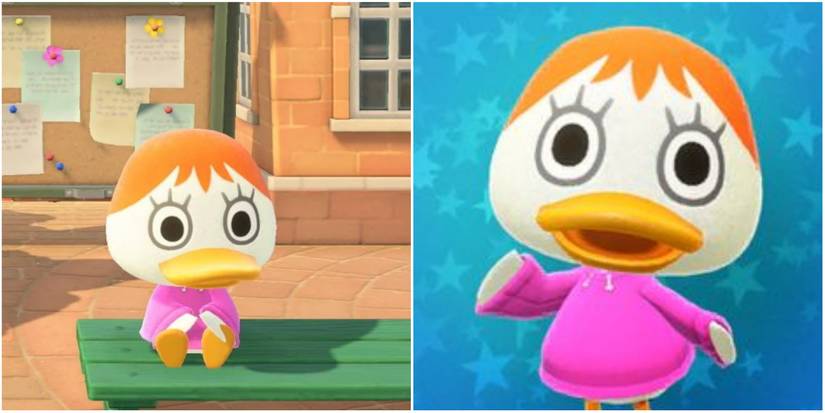 10 Best Duck Villagers In Animal Crossing: New Horizons