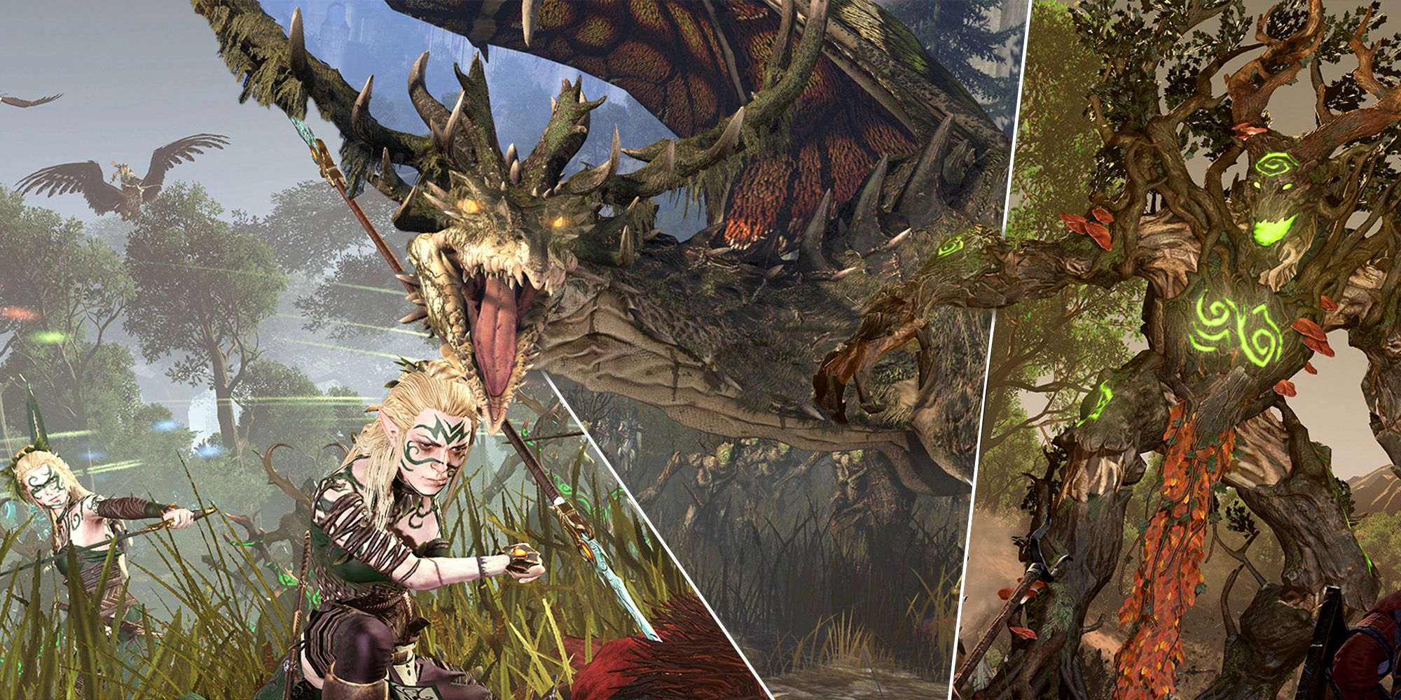 The Best Wood Elves Units In Total War: Warhammer 3