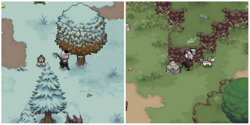 Where To Find All Materials And Resources In Potion Permit