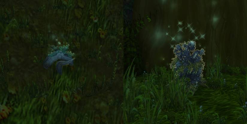 Herbalism 1-450 - WoW: WotLK Classic