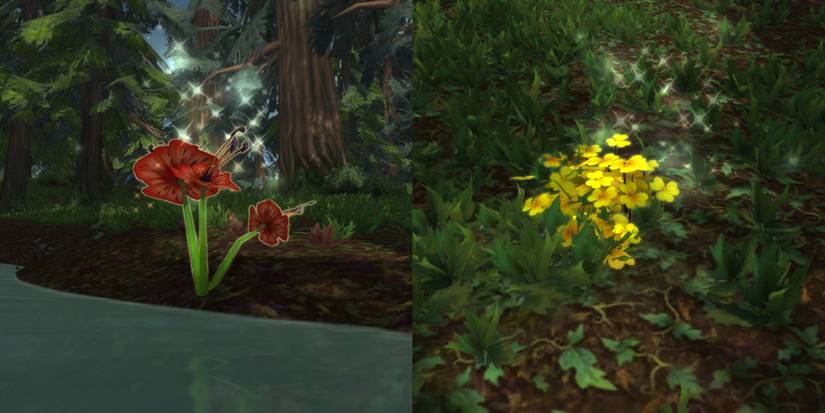 Herbalism 1-450 - WoW: WotLK Classic