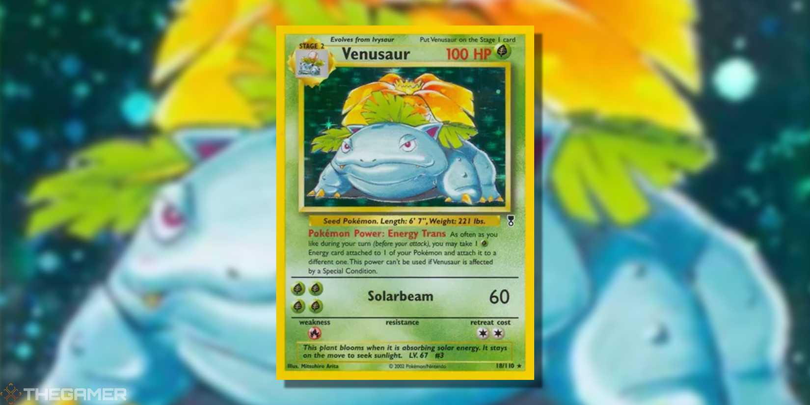 The Most Valuable Venusaur Pokemon TCG Cards
