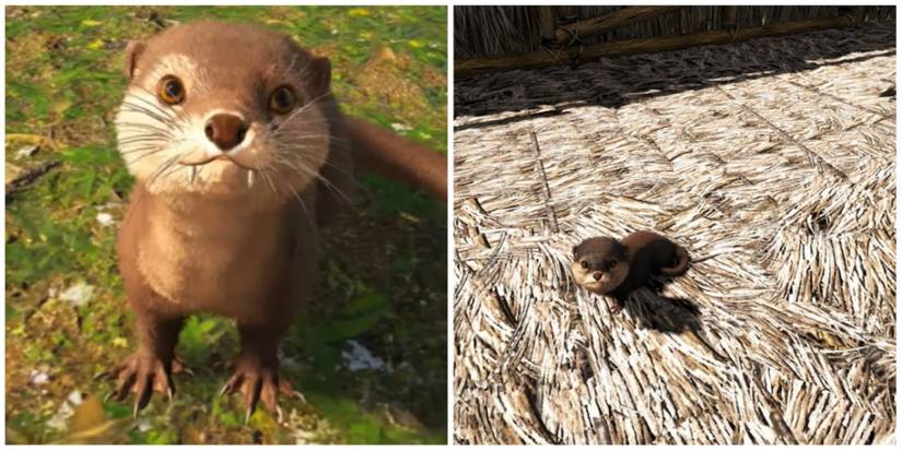 Best Otters In Video Games