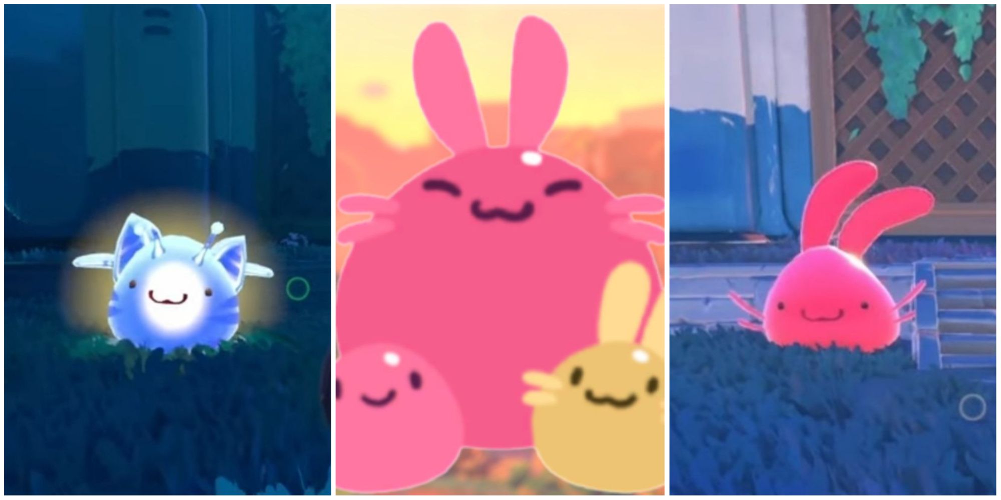Slime Rancher 2: Best And Cutest Largo Slimes