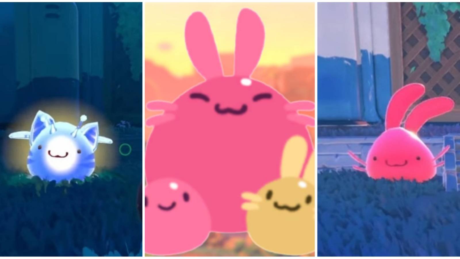 Slime Rancher 2: Best And Cutest Largo Slimes