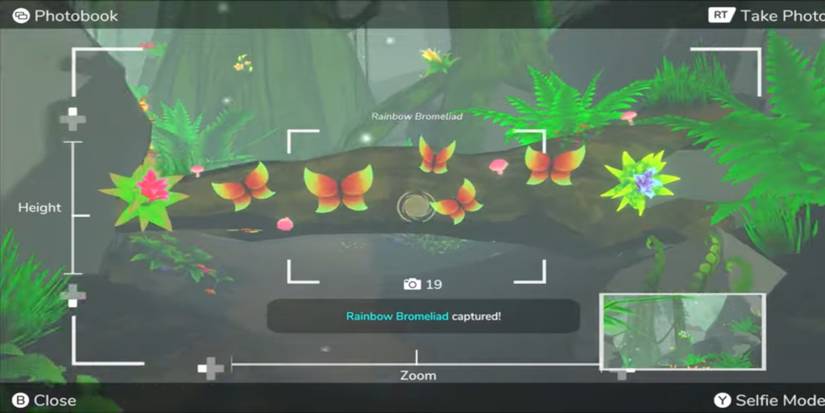 Beginner Tips For Beasts Of Maravilla Island