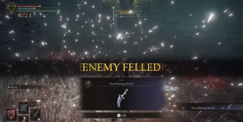 How To Defeat Nox Swordstress And Nox Priest In Elden Ring