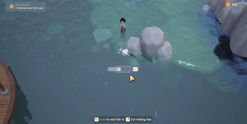 Where To Find Every Fish In Coral Island