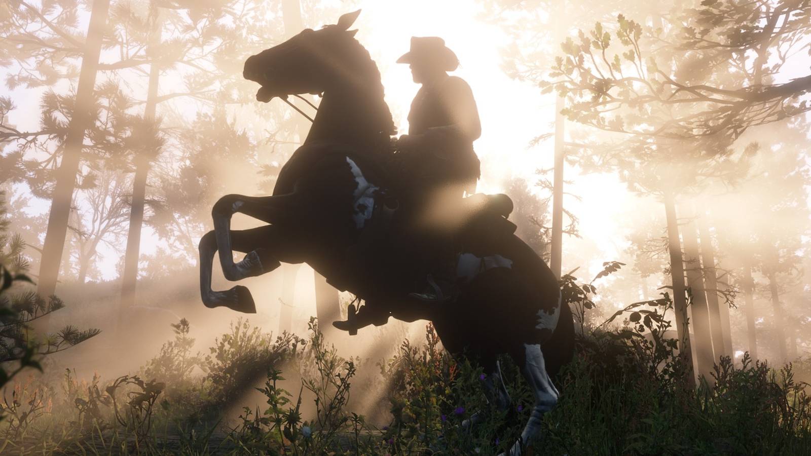 The Best Horse Breeds In RDR2