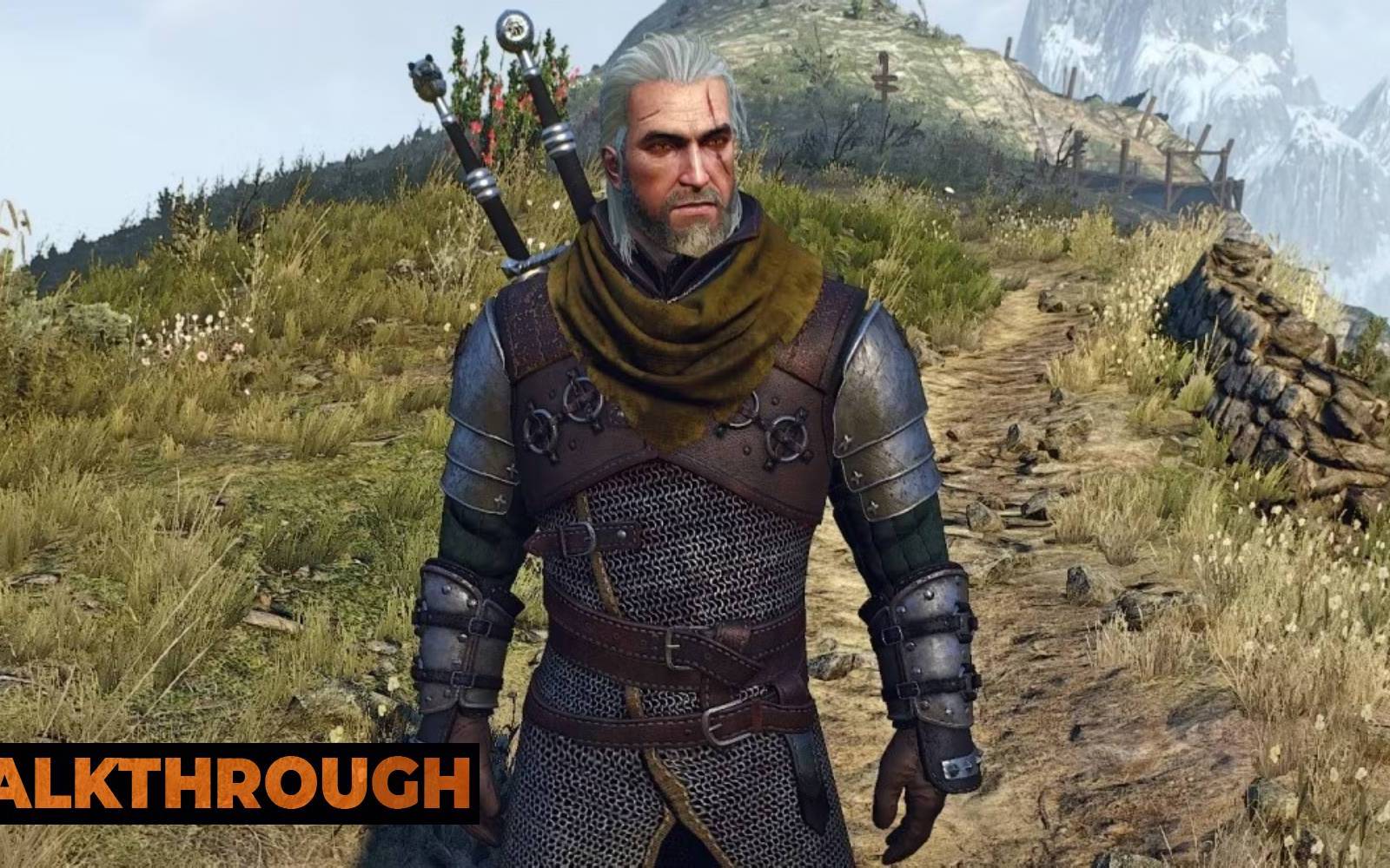 The Witcher 3 Mastercrafted Cat Armor Diagram Locations