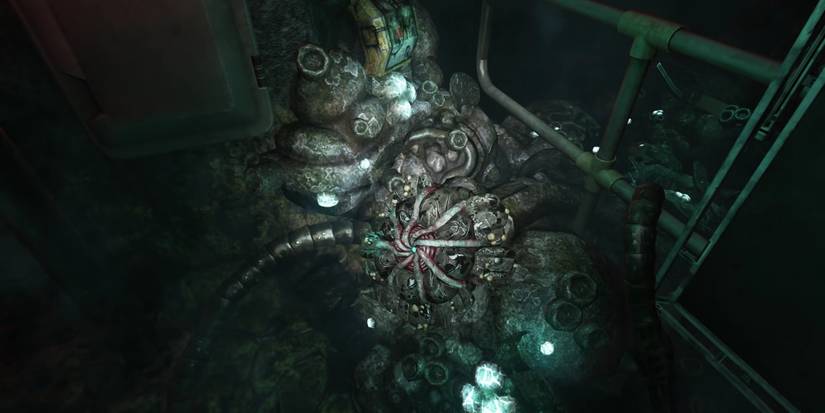 What Is The WAU In Soma?