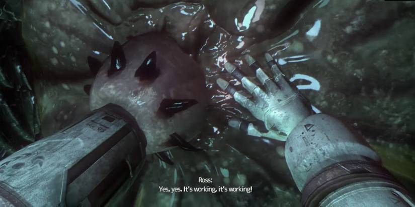 What Is The WAU In Soma?