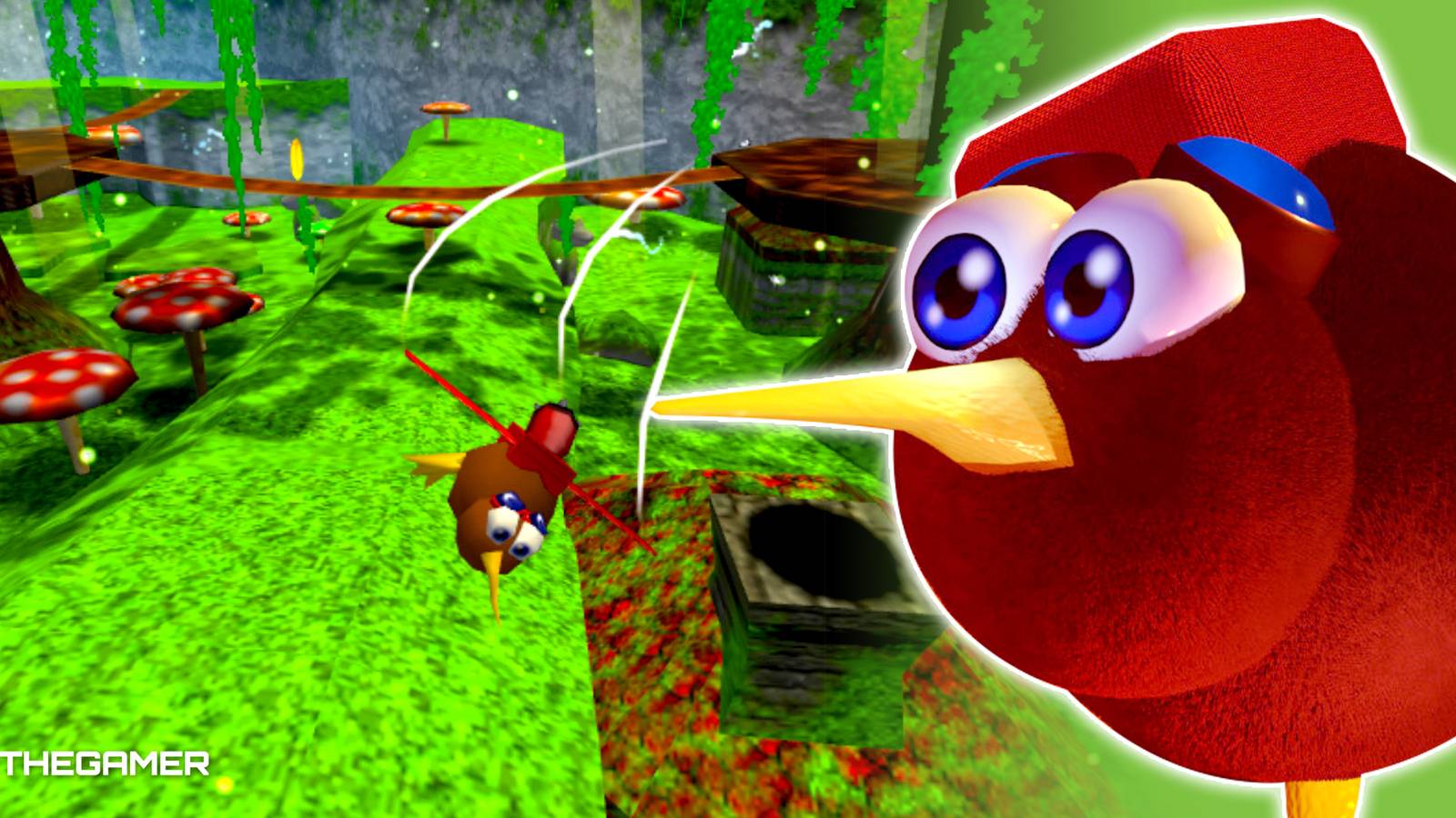 Beginner Tips For Super Kiwi 64