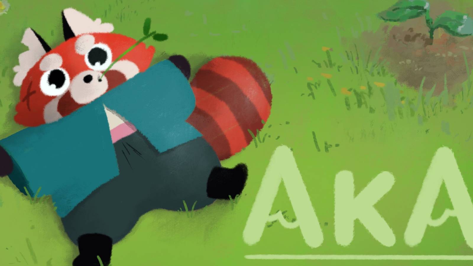 Beginner Tips And Tricks For Aka