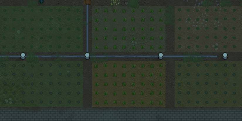 Things Everyone Does In RimWorld