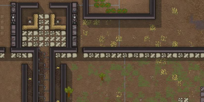 Things Everyone Does In RimWorld