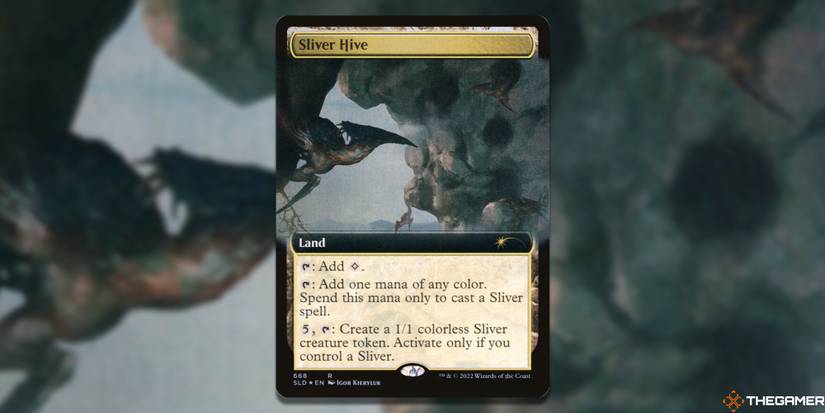 The Most Valuable Cards Of MTG 2022