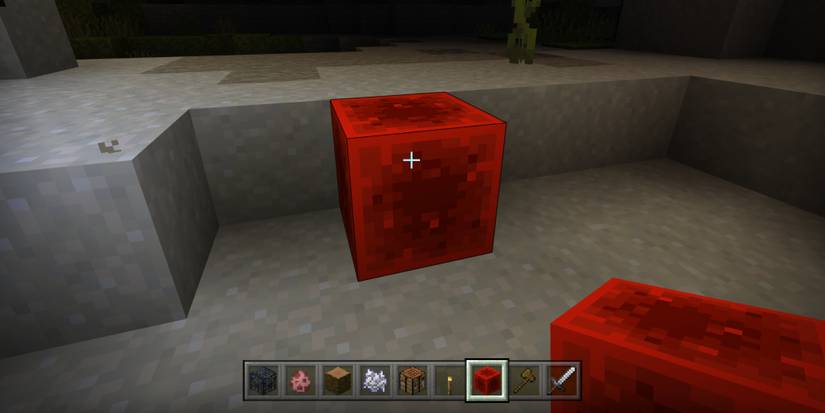 9 Items From Minecraft that Would Be Useful In The Real World