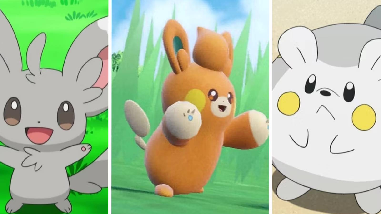 The 15 Best Rodent Pokemon