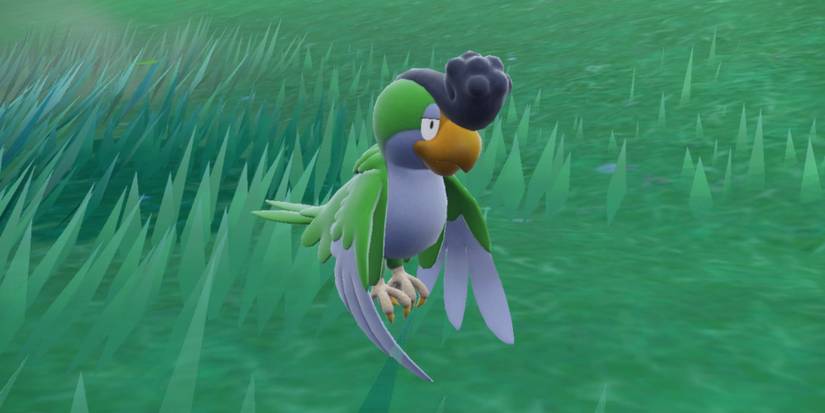 Paldean Pokemon That Don't Have Evolutions