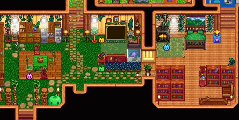 Where To Find Every Wall Decoration In Stardew Valley